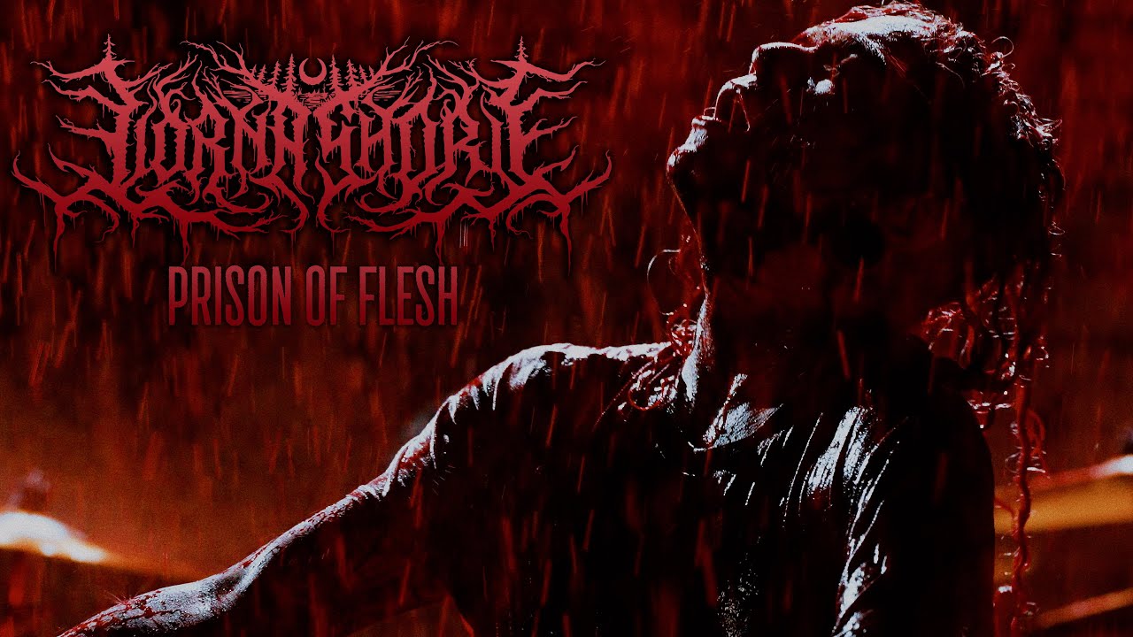 Prison Of Flesh Song: Cast Name, Artist, Lyrics Meaning, Video & More ...